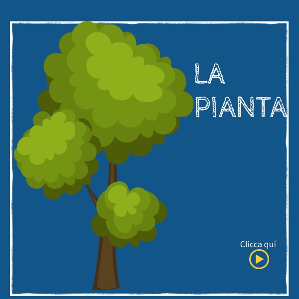 Le piante | Genially