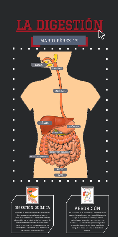 LA DIGESTIÓN | Genially