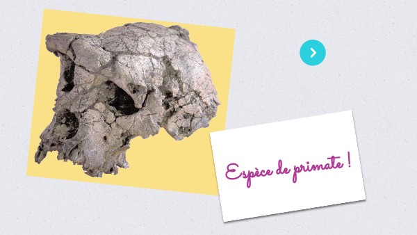 évolution Homme | Genially