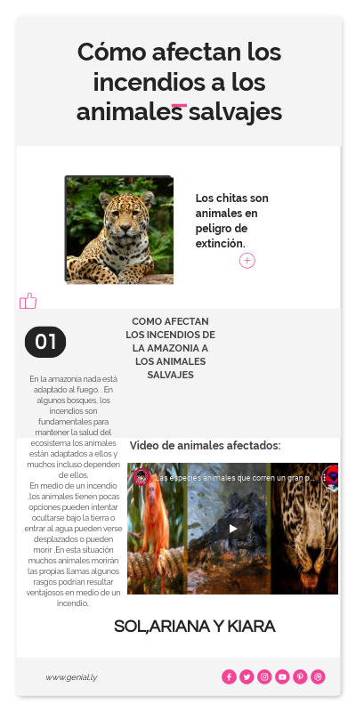 Amazonas terminado | Genially