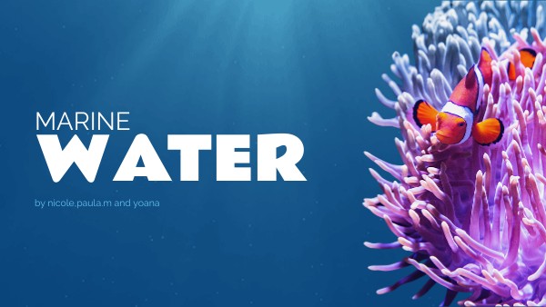 marine water | Genially