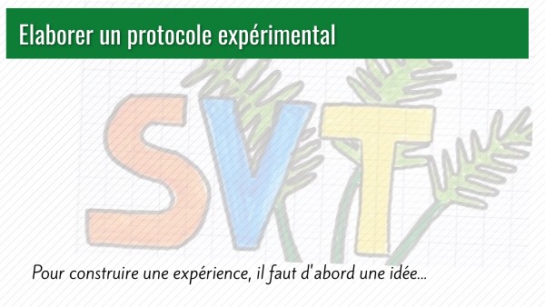 Élaborer un protocole expérimental 6ème | Genially