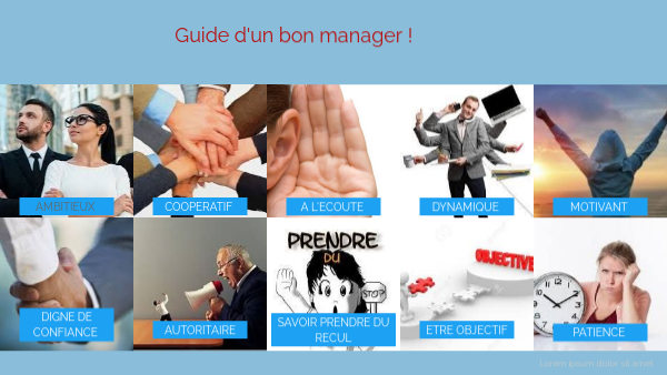 GUIDE D'UN BON MANAGER