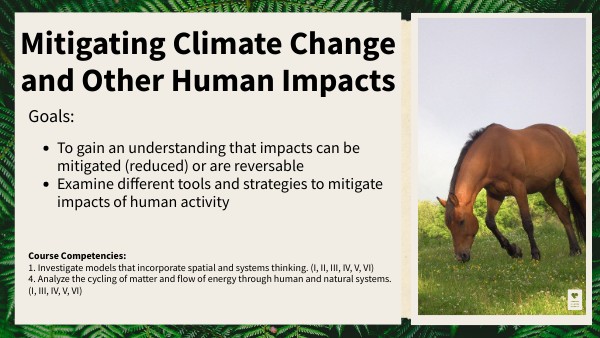 Mitigating Climate Change and Other Human Impacts | Genially