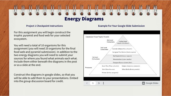 Project 1 Checkpoint Energy Diagrams | Genially
