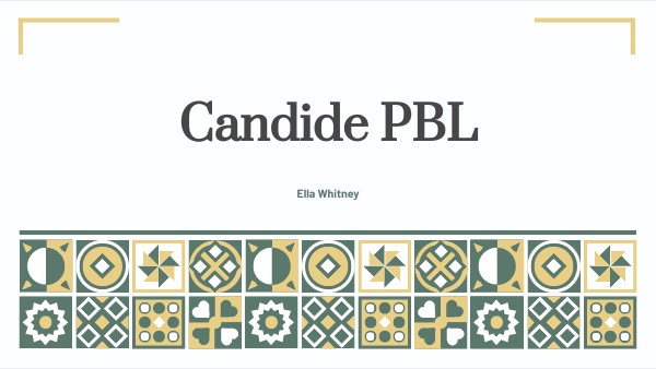 Candide PBL