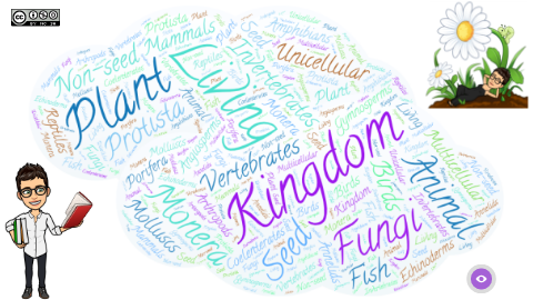 Classification of living things | Genially