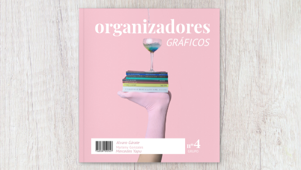 ORGANIZADORES GRAFICOS