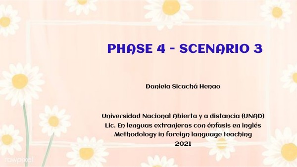 Phase 4 Methodology