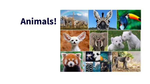 Animals! | Genially