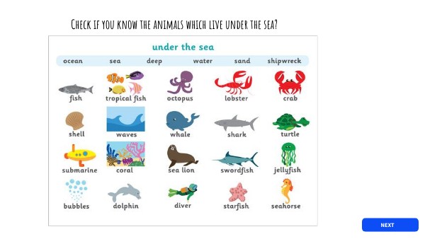 Sea animals | Genially