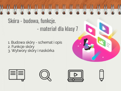 Skóra - budowa i funkcje. Materiał dla klasy 7. | Genially