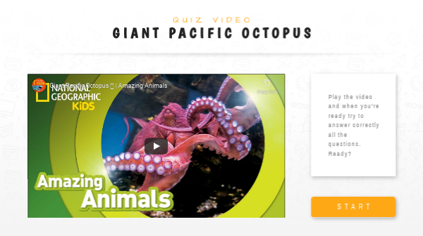 Giant octopus | Genially