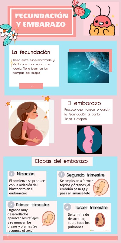 INFO embarazo | Genially