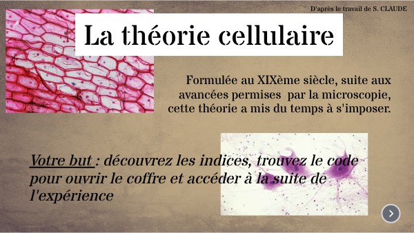 Van Leeuwenhoek Théorie Cellulaire – MJYUN