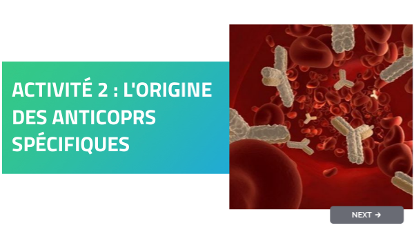 Activité 2 : l'origine des anticorps spécifiques | Genially