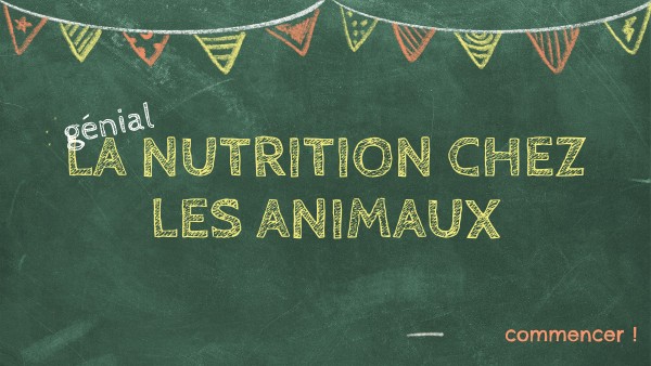 Nutrition animale | Genially