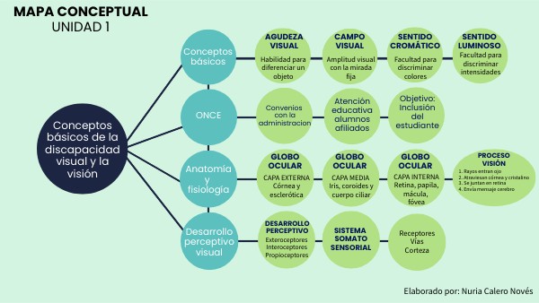 Mapa conceptual Unidad 1