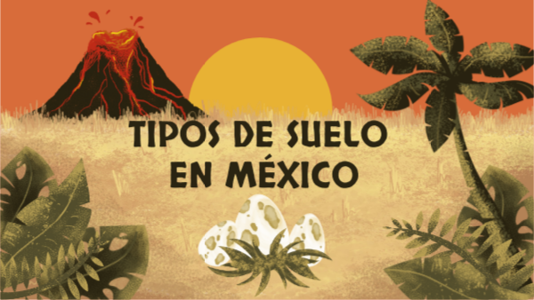 tipos de suelo | Genially