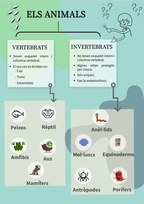 ELS ANIMALS | Genially