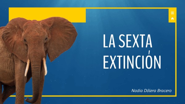 PRESENTACIÓN ANIMALES