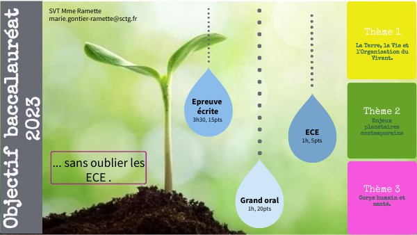 Objectif BACSVT2024 | Genially
