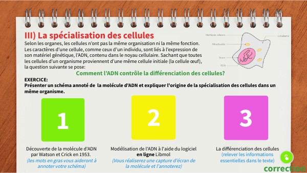 la spécialisation des cellules | Genially