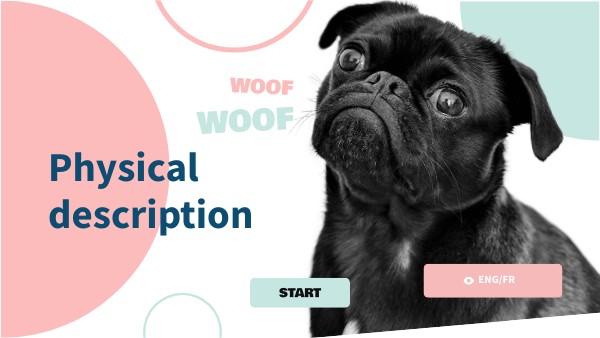 6è_Physical description | Genially