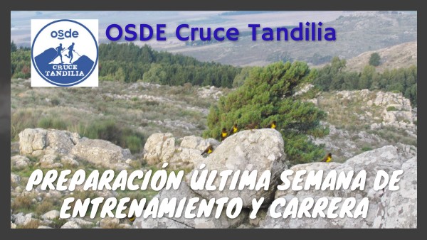 Carrera Tandil Osde