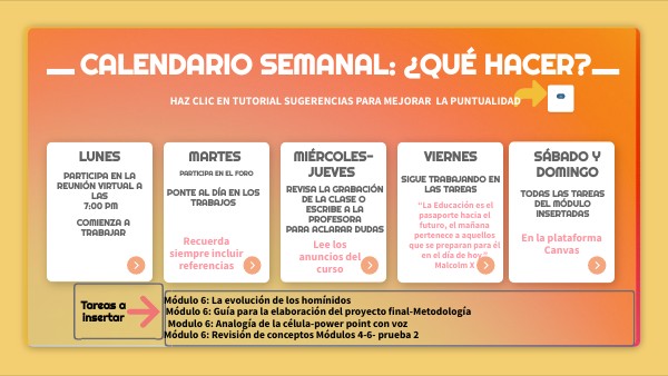 Scie 111_6_7 semanas/spring | Genially