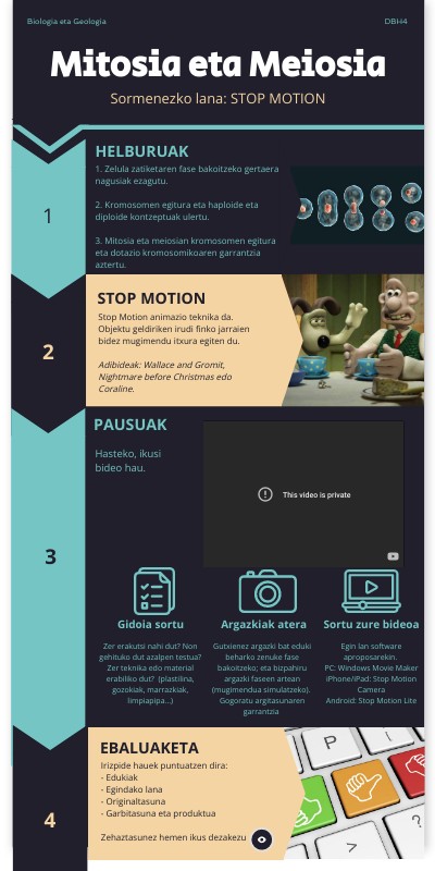 STOP MOTION mitosis meiosis