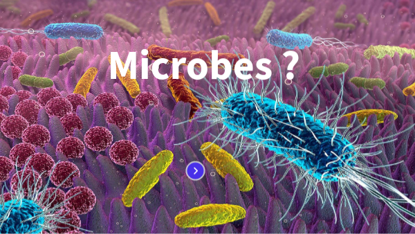 Qui sont les microbes