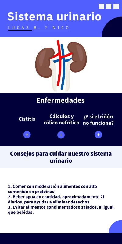 Sistema urinario y la salud