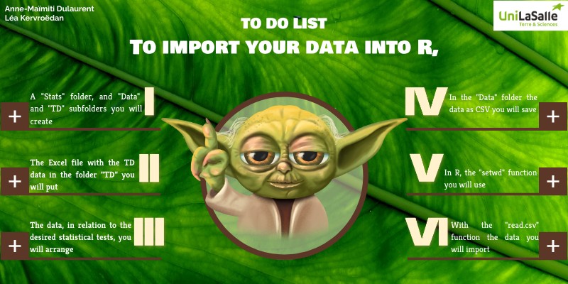 Statistical decision tree