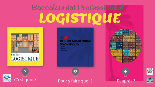 Infographie Bac Pro LOGISTIQUE Présentation | Genially