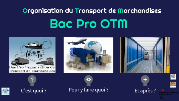 Infographie Bac Pro OTM_Présentation | Genially