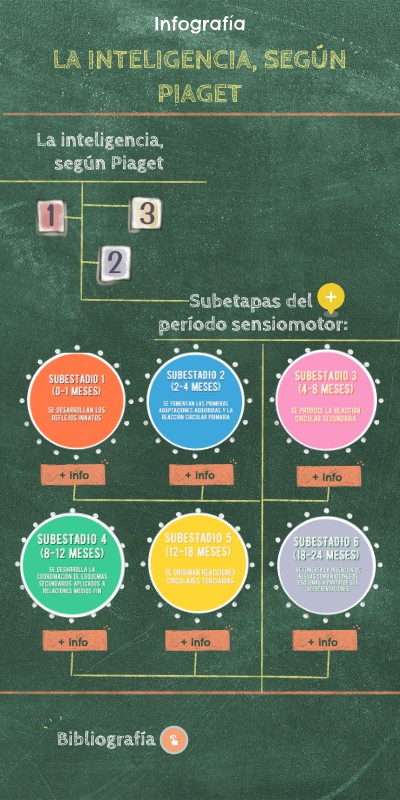 Infografía sobre el desarrollo de la inteligencia | Genially