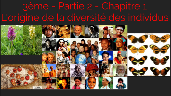 3ème P2/Ch1 : Origine de la diversité des individus | Genially