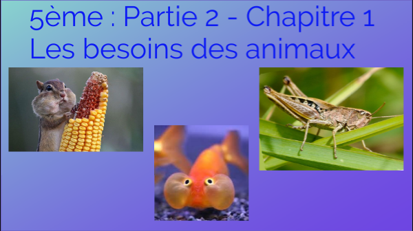 5ème : P2/Ch1 : Les besoins des animaux | Genially