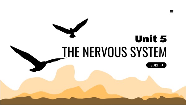 Unit 5 - Nervous System