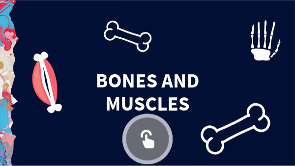 Bones and muscles | Genially