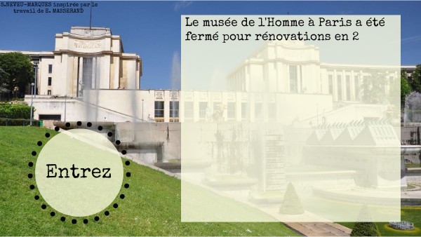 Tes Evolution De La Lignée Humaine