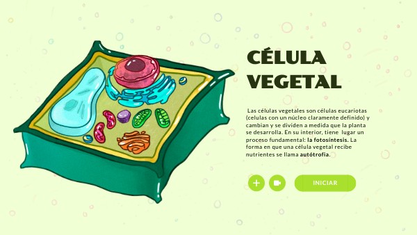 CÉLULA VEGETAL Y SUS PARTES | Genially