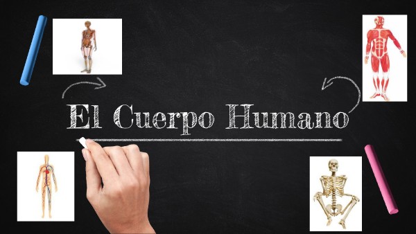 El Cuerpo Humano-Funciones Vitales | Genially