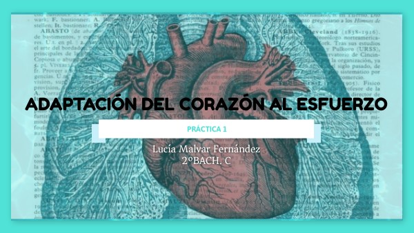Práctica 1. Adaptación del corazón al esfuerzo