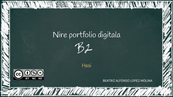 NIRE PORTFOLIO DIGITALA-B2