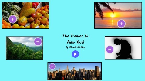 The Tropics in new Yorki | Genially