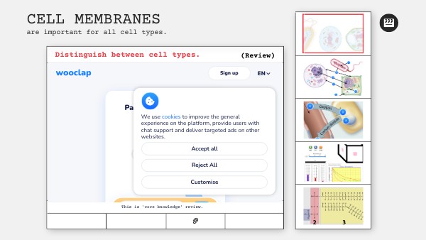 Cell Membranes with Previous Content Recap