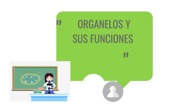 ORGANELOS CELULARES | Genially
