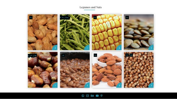 Grains and Legumes